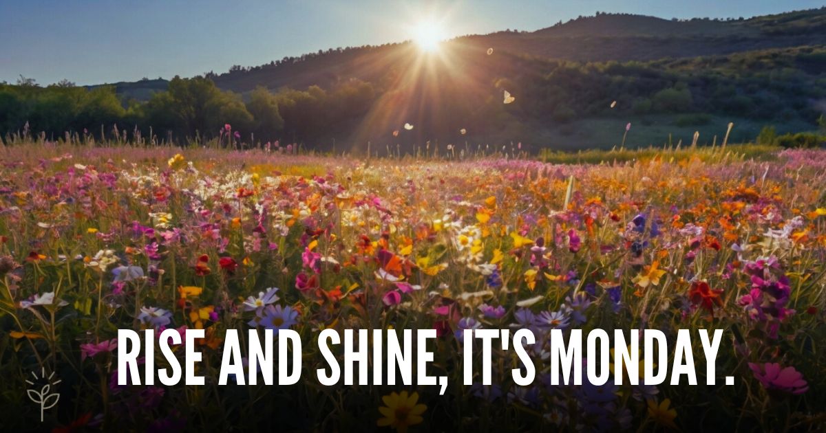 120+ Monday Blessings, Quotes & Prayers for a Positive Week